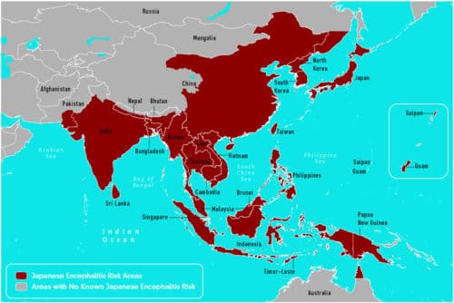 Japanese Encephalitis: Symptoms, Treatment & Prevention - Montreal ...